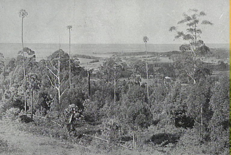 Bulli Pass with view to Wollongong harbour, early 1900s | Local History ...
